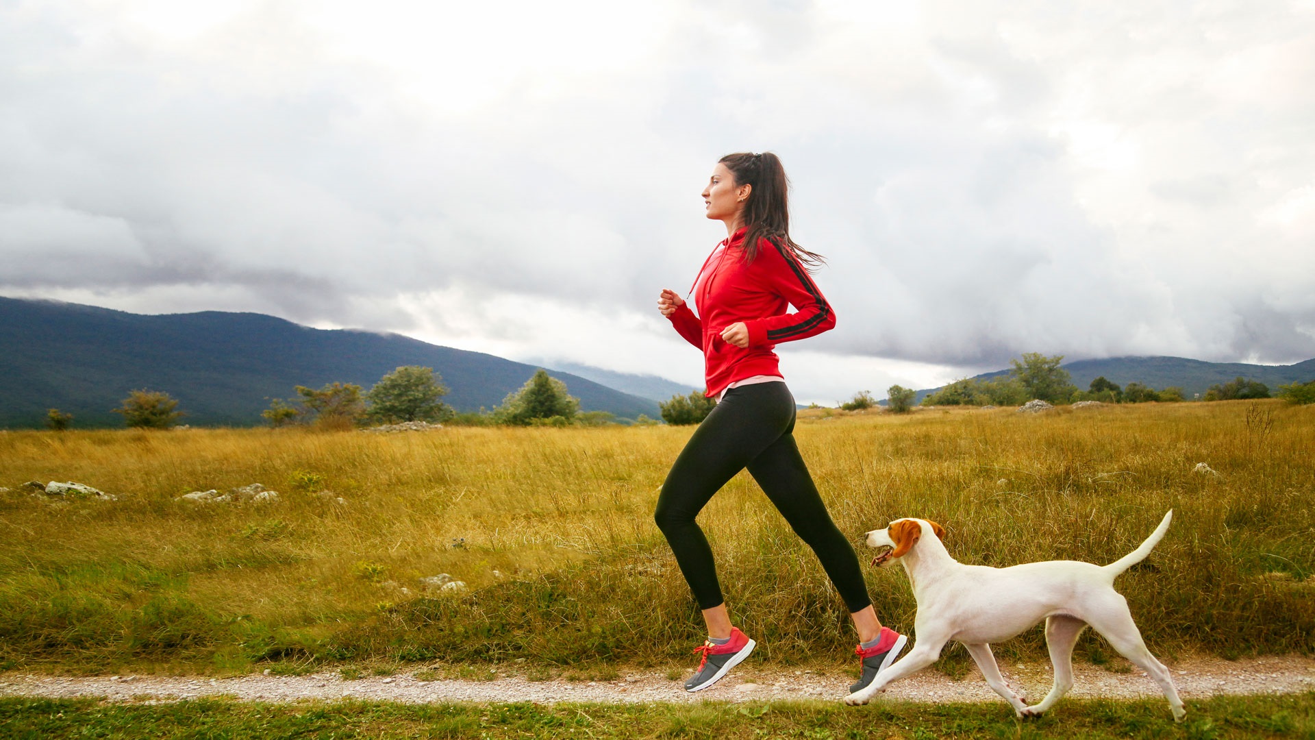 Workout With Your Dog The GoodLife Fitness Blog Workout With Your Dog The GoodLife Fitness Blog
