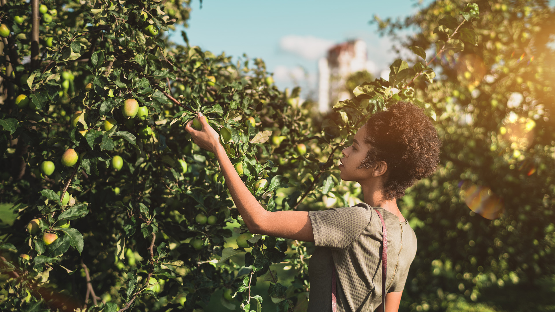 Make the most out of late summer produce | The GoodLife Fitness Blog